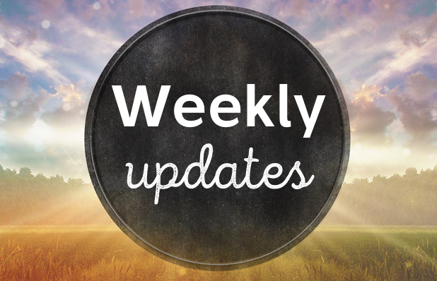weekly-updates – Renew Church